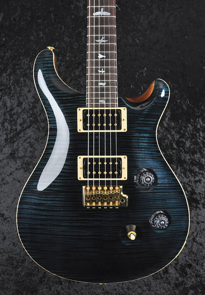 Guitares Electriques PRS Custom 24 Birds Experience 2010 Slate - Custom ...