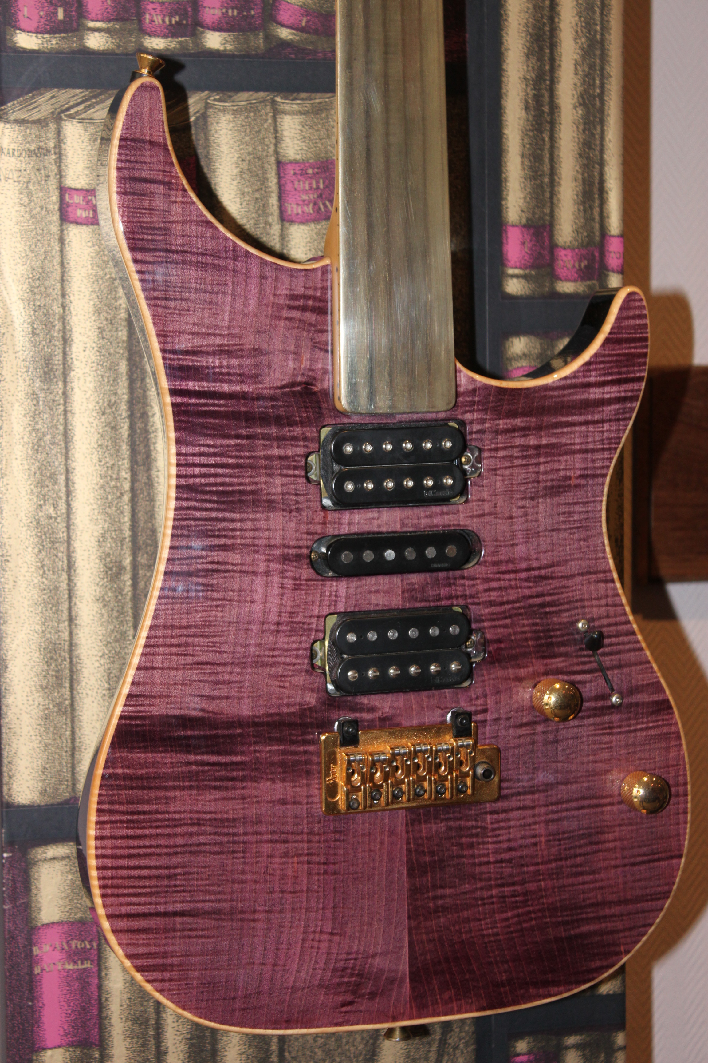 Guitares Electriques Vigier Excalibur Surfreter Special Trem OCCASION ...