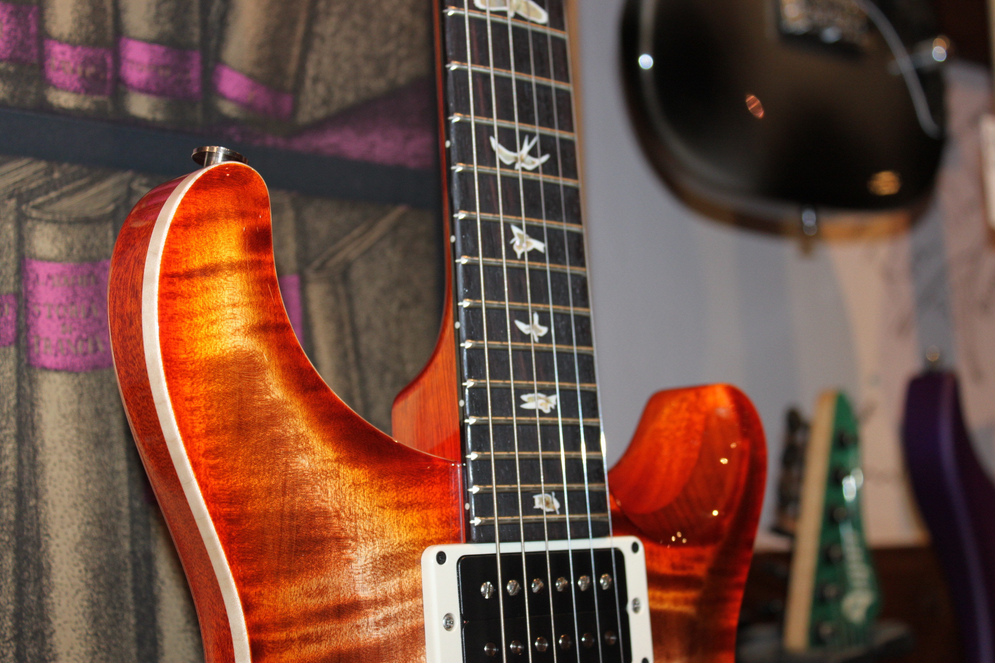 Guitares Electriques PRS Custom 24 Birds 2016 Autumn Sky - Custom 24 ...